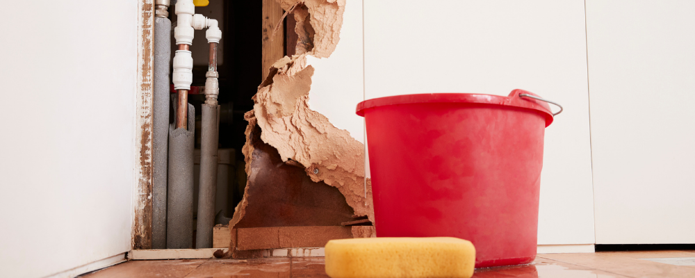 What You Need to Know About Water Backup Damage